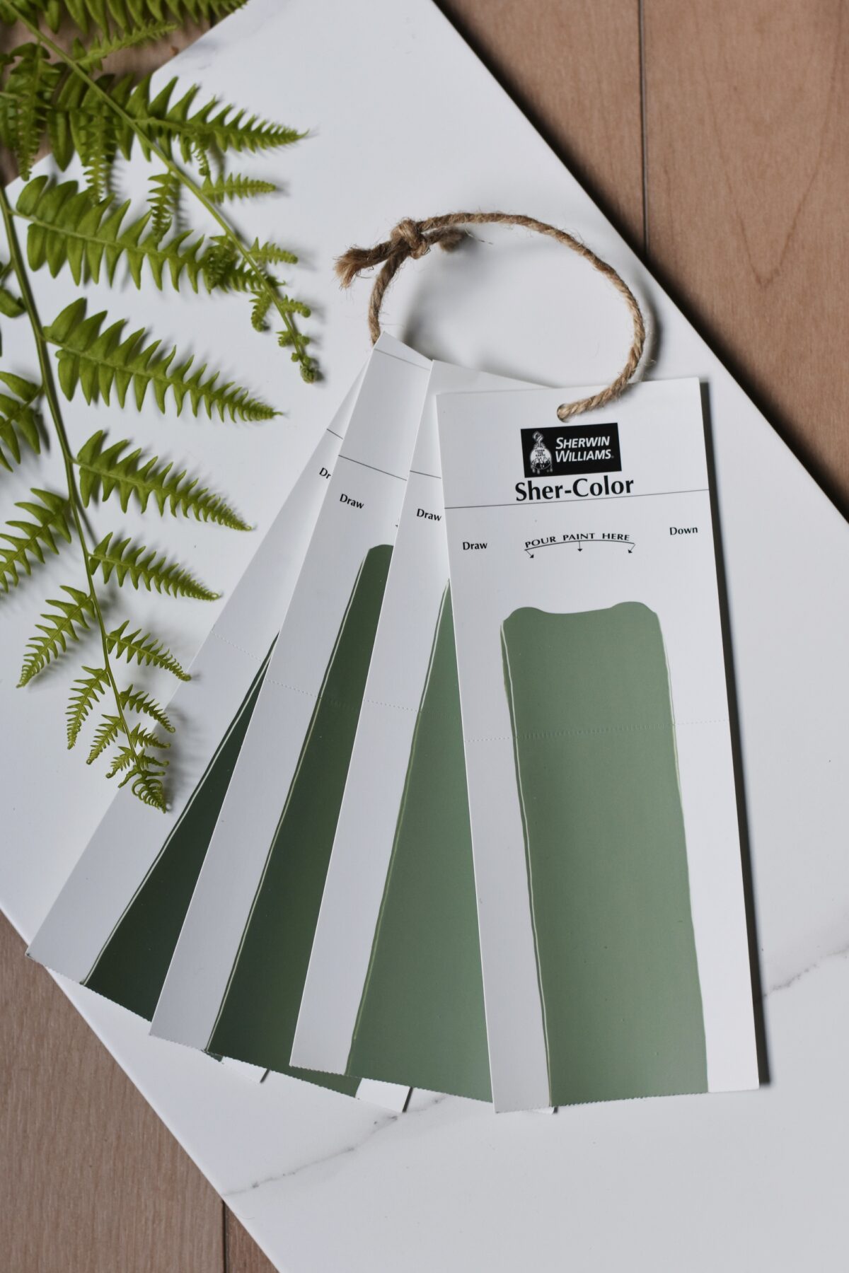 Boreal forest | Atelier C3